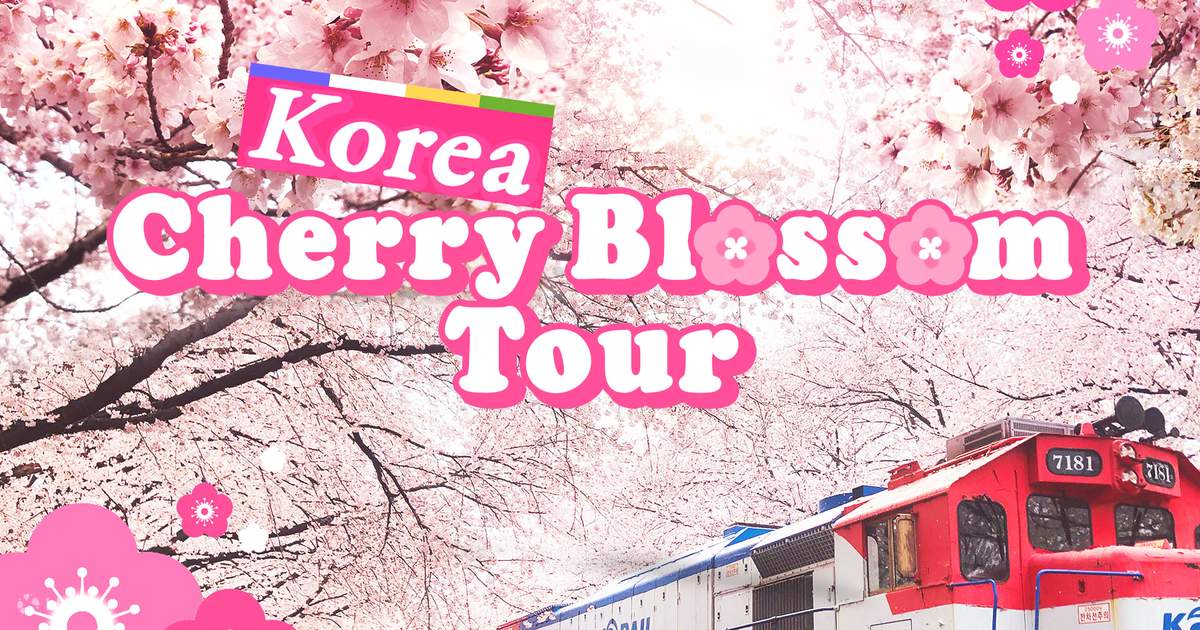 Korea Cherry Blossom Tour dari Seoul - Klook Amerika Syarikat